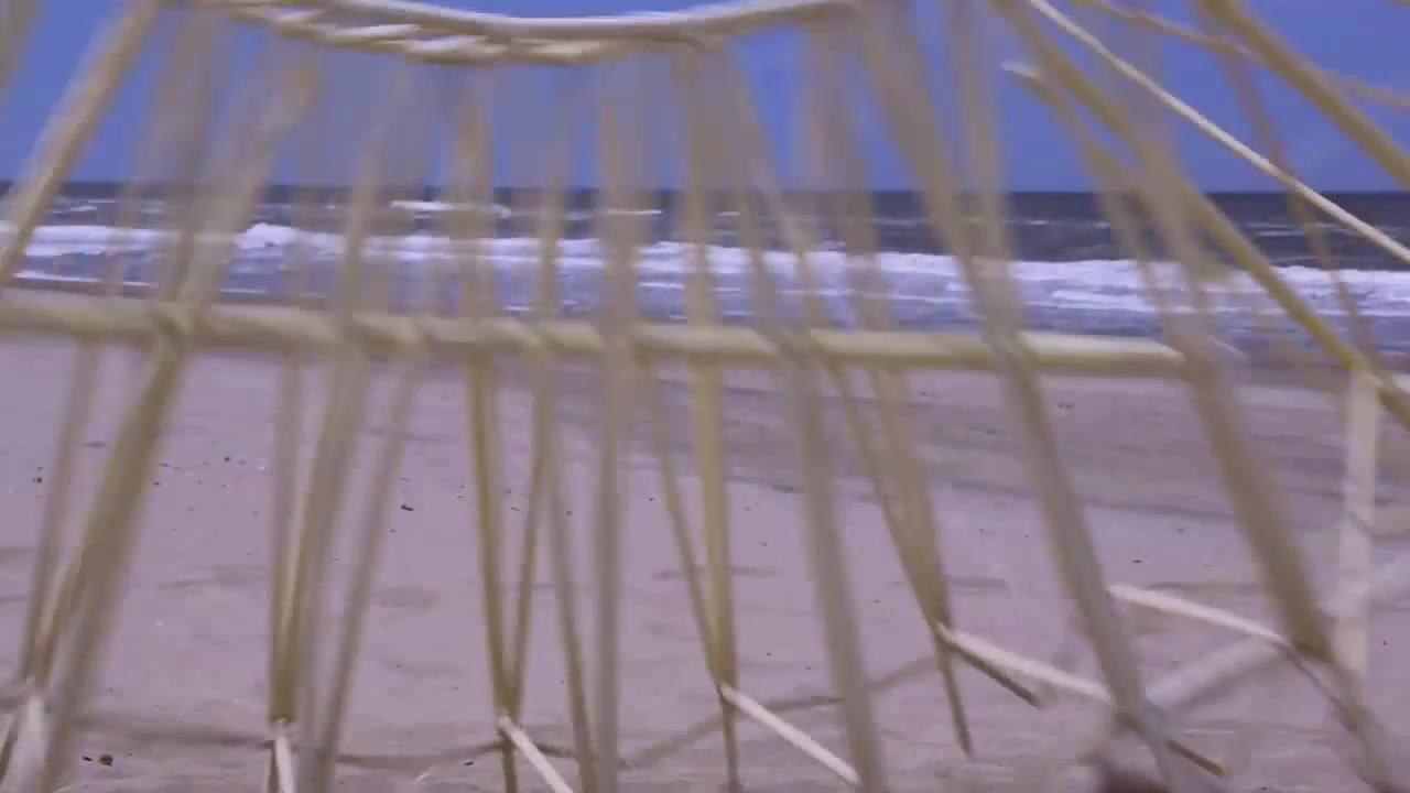 Kin Dza Dza reality check - Coub