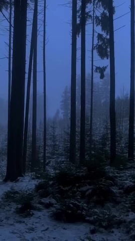 winter is coming - Coub