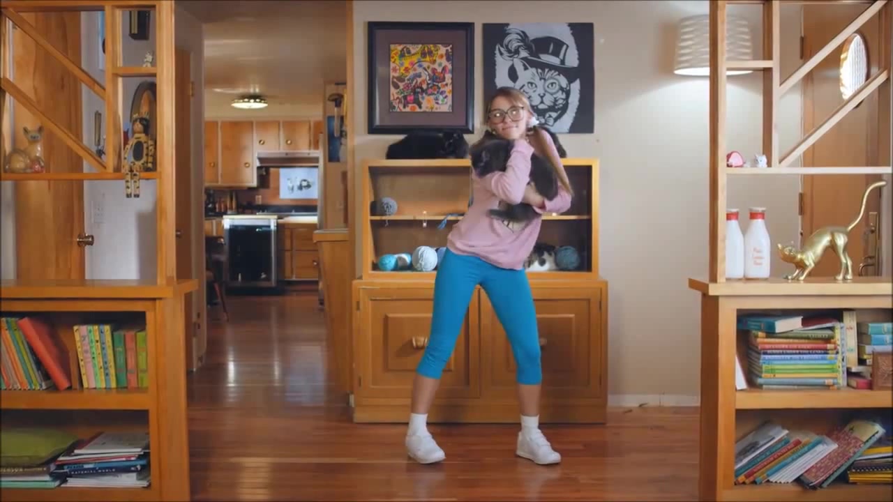 Breakdancing with the cat - Coub