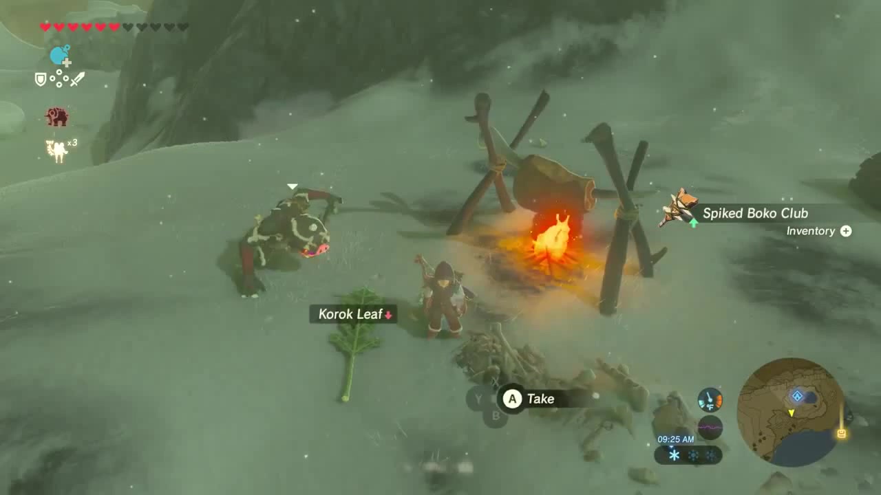 Legend of Zelda : Donkey Breath - Coub
