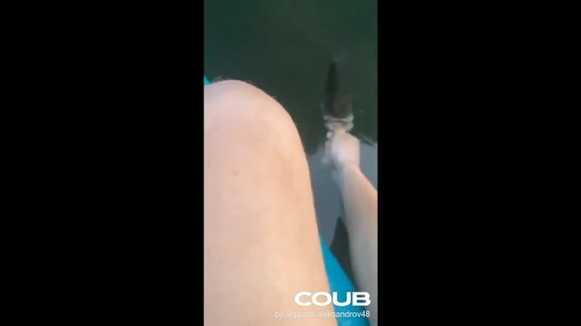 Fish You Died - Coub