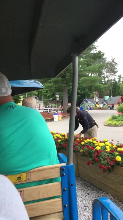 Train in storyland - Coub