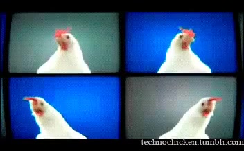 chicken dance - Coub