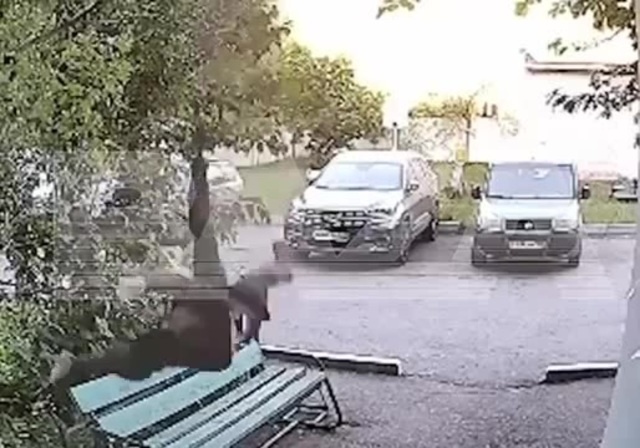 A normal day in Russian - Coub