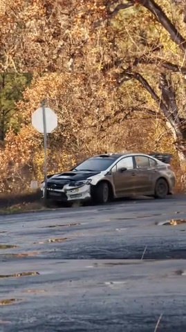 When your co-driver on Dirt Rally says don’t cut, but you know signs ...