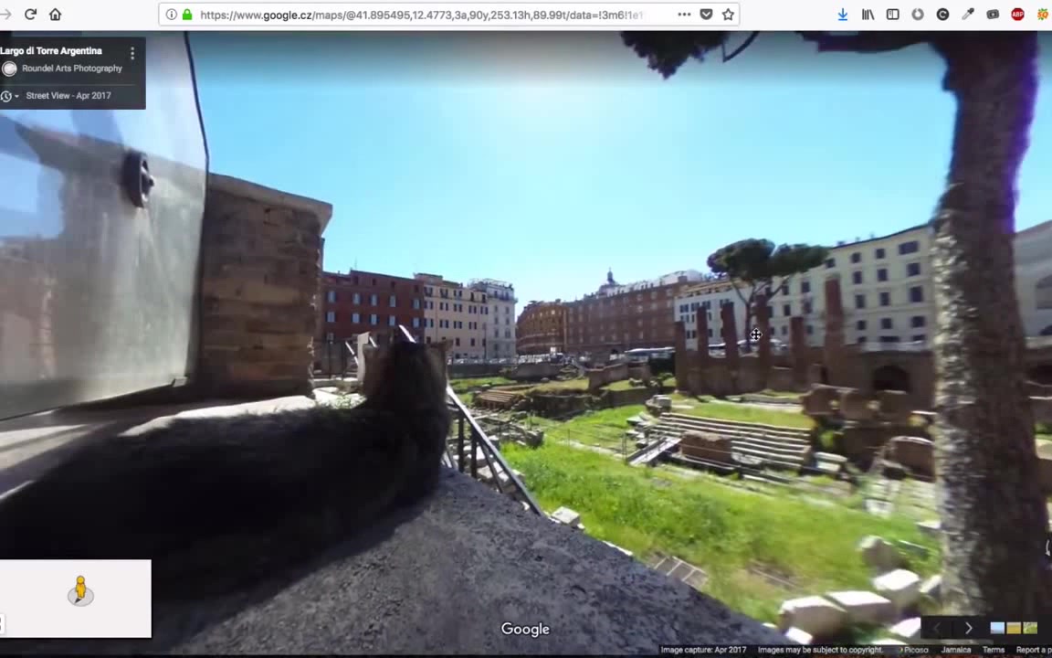 Google Maps Cats - Coub