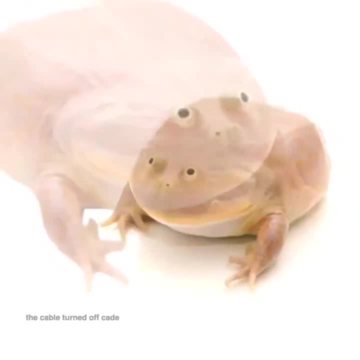 BEST DAB EVER (Hilarious Frog Dab Vine) | Trending Comedy Vines July ...