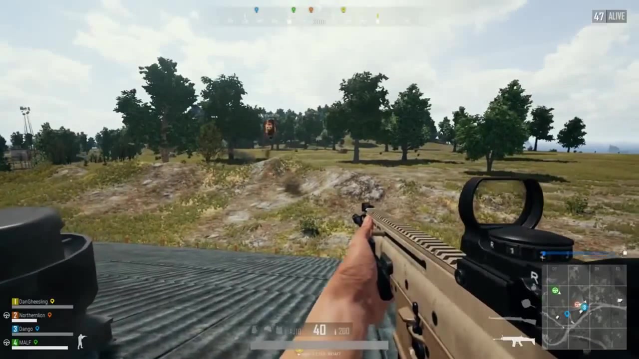 Have you ever seen a fox murder a wolf? - Coub