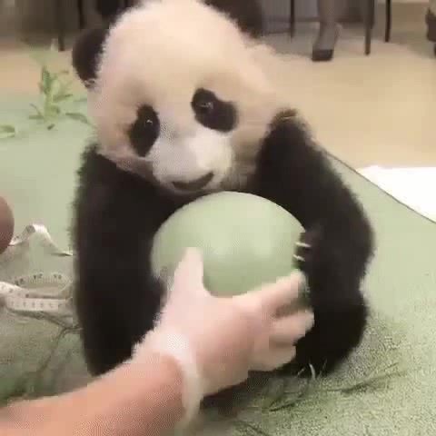 just listen: highly suspect - little one 🙌 - Coub