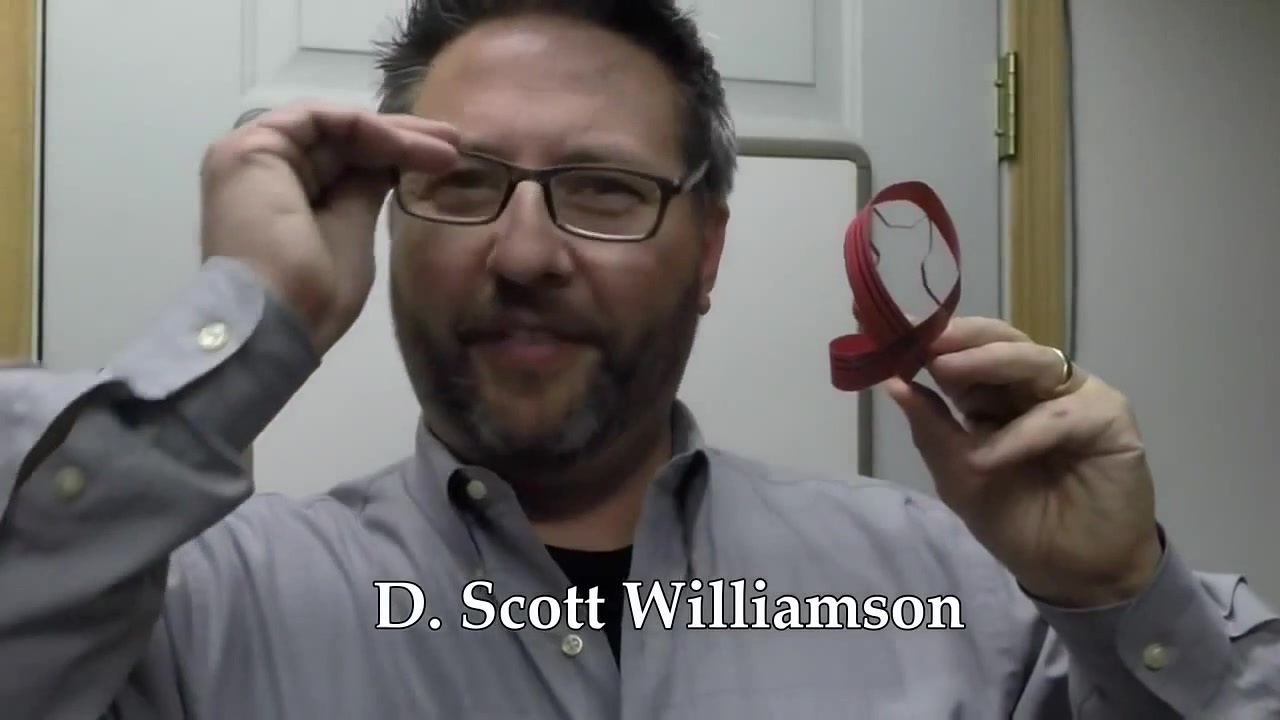 I'm am an Expert - Coub