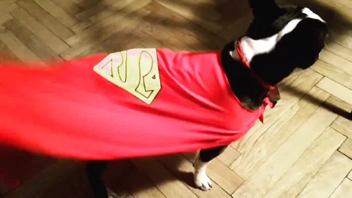 not a bird not a plane - Coub