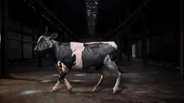 Polish Cow 4K (RTX ON) - Coub