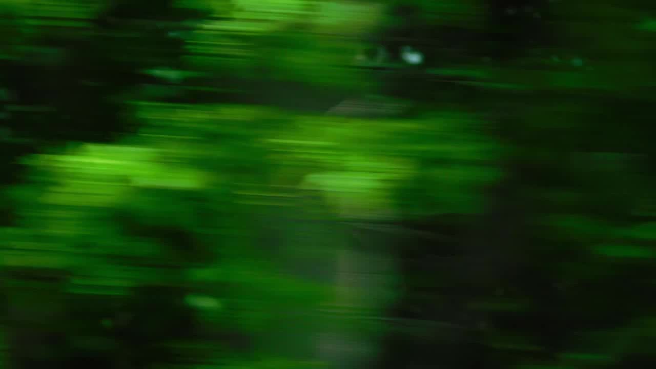 forward or backward - Coub