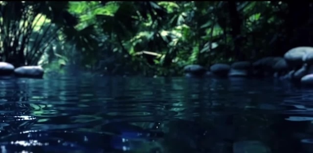 I want to be your reflection ️🥺 - Coub