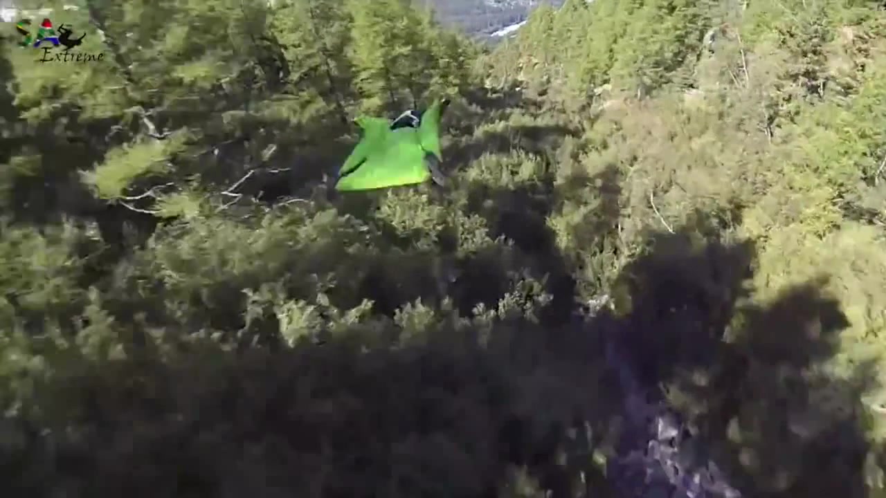 Wingsuit - Coub