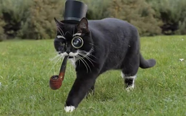 This world so strange... - Coub