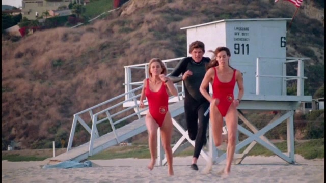 s03e17 "Baywatch" (1993) - Coub