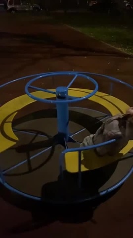 Why we still wheel - Coub