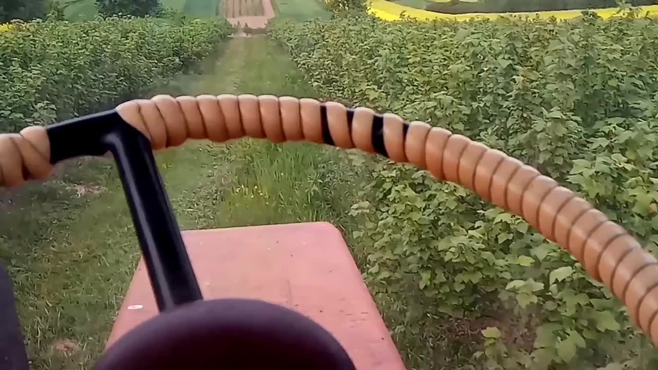 Everyday normal guy - Coub