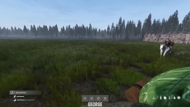 DayZ HORSE MOD - Coub