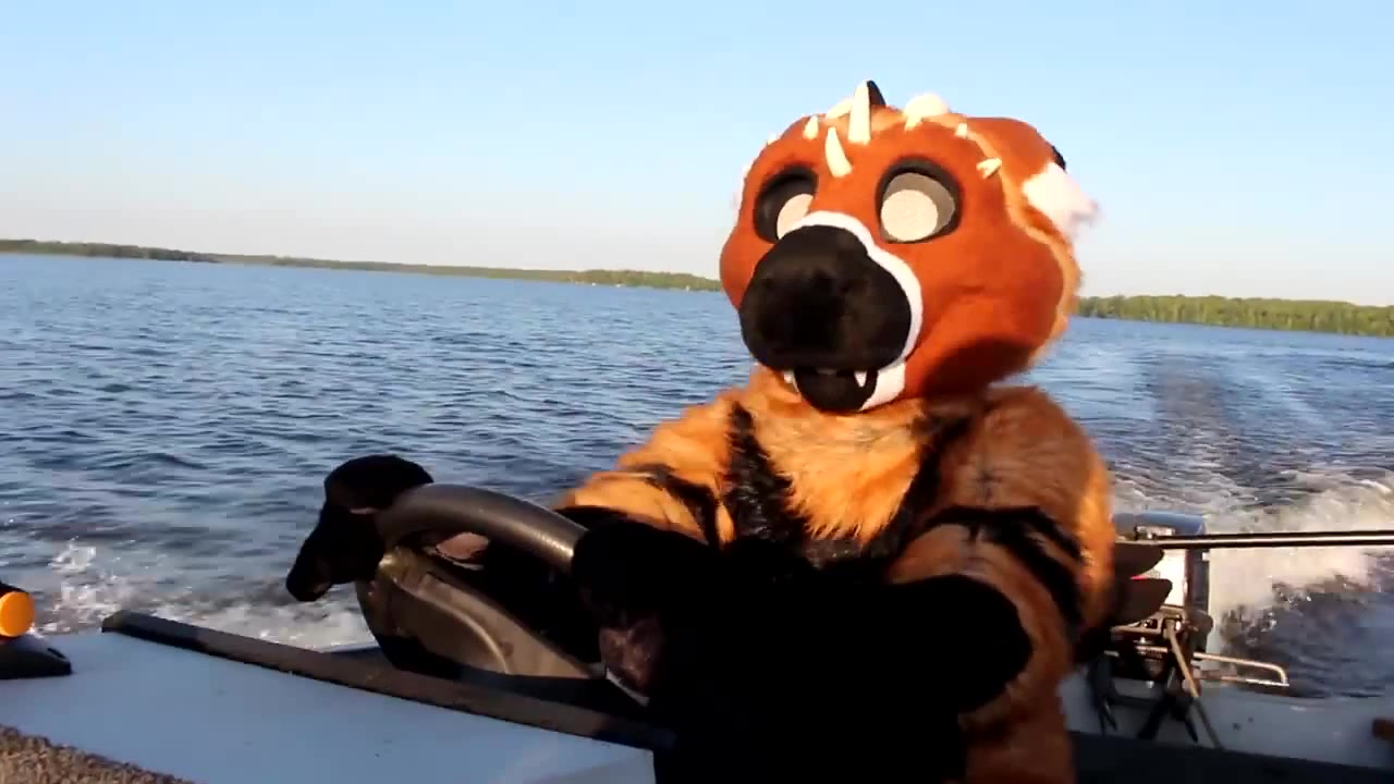 Telephone furry - Drive - Coub