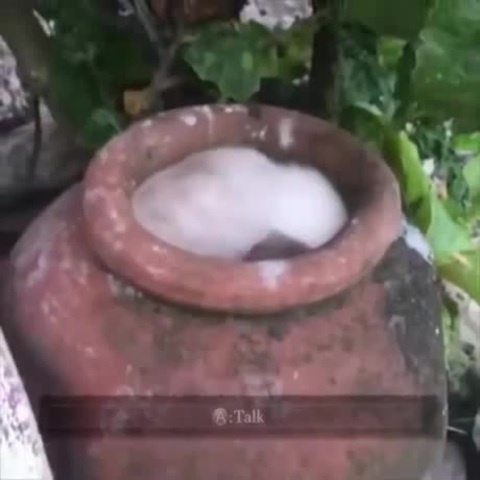 Join Covenant? - Coub