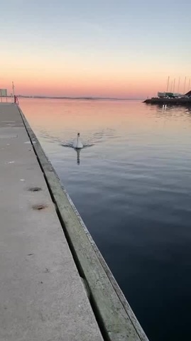 This is the perfect place to enjoy beautiful sunsets. - Coub