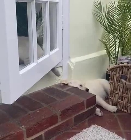 Mission impossible - Coub