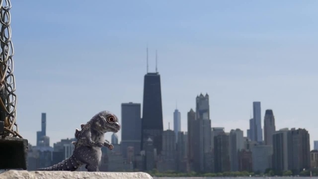 little godzilla - Coub