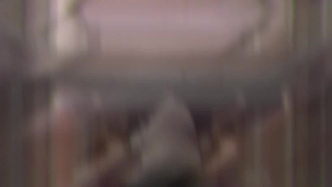 Music: 2WEI - Toxic - Coub