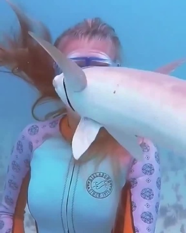 UNDERWATER HAIRDRESSER - Coub