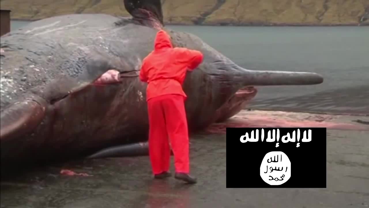 Unexpected Jihad - Coub