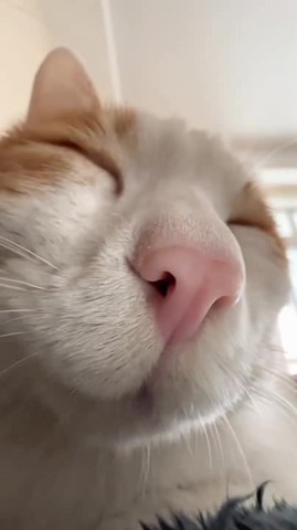 dreaming dream ... - Coub