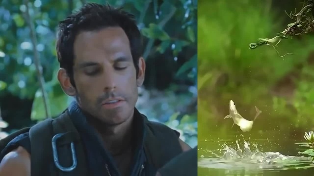 𝗙𝘂𝗹𝗹 𝗥𝗲𝘃𝗲𝗿𝗯 - Coub