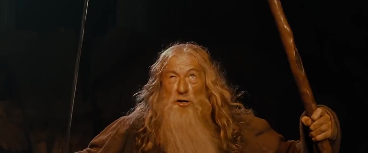 You Shall Not Pass - Multipass - Coub