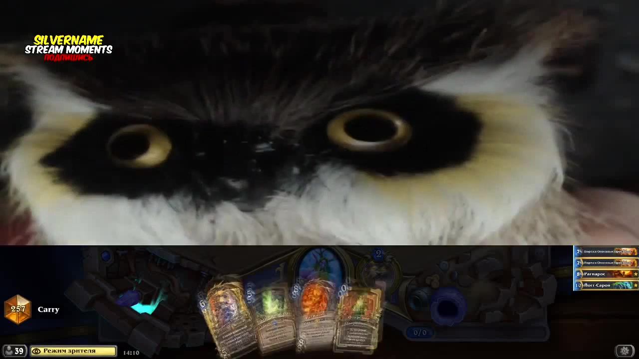 FULL HD ТОЛСТАЯ СОВА ЗДАРОВА - Coub