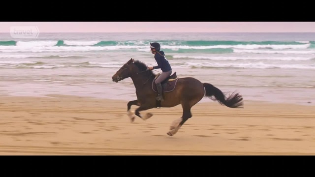 Horse Riding on Perranporth Beach - Coub