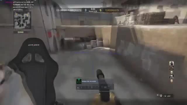 Doge Streamer - Coub