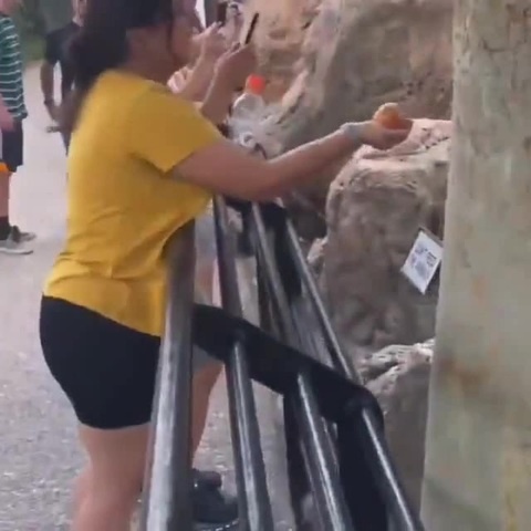 You better give him - Coub