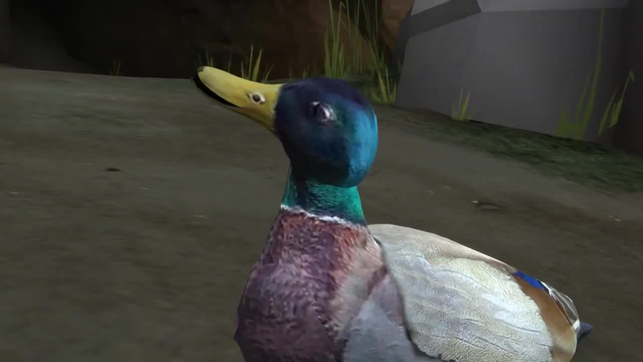 [SFM] Duck.exe has stopped working - Coub