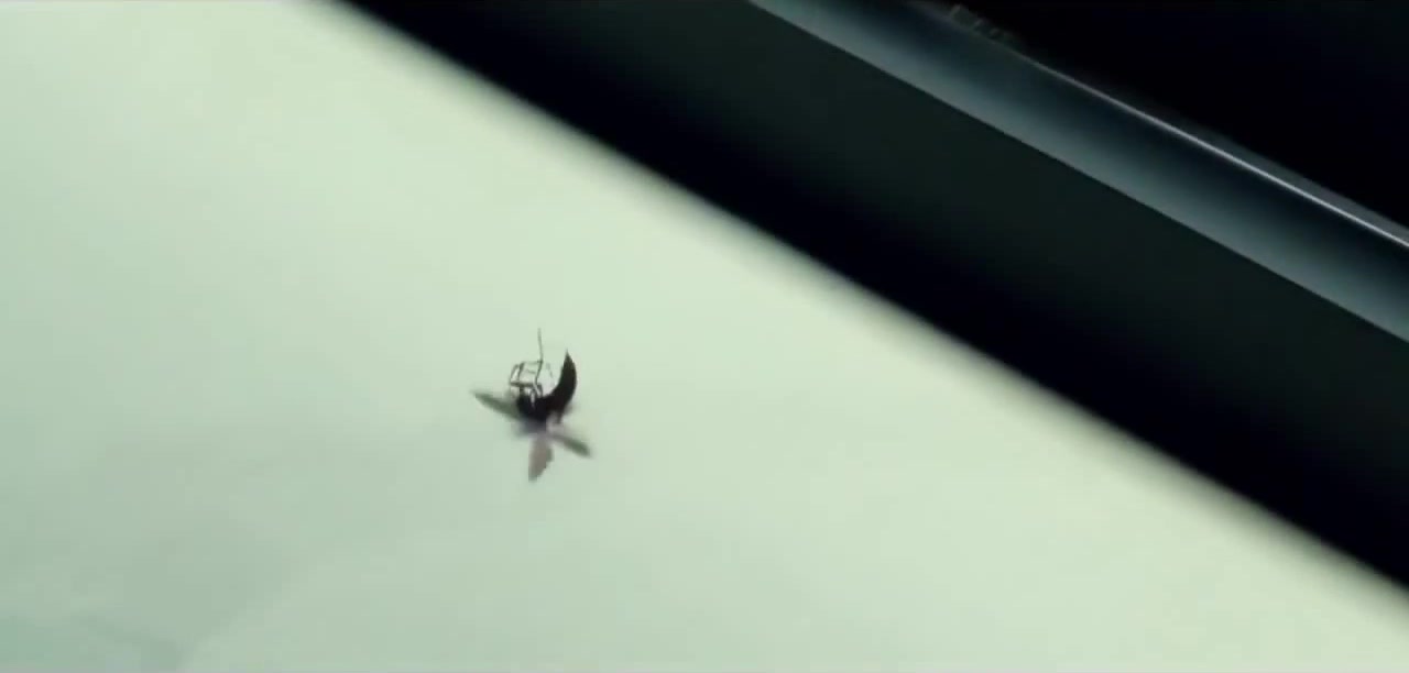 COUB TV - Когда играет любимая песня - Coub