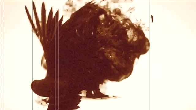 Casey Edwards & Victor Borba – Vacant Surrender || GMV - Coub