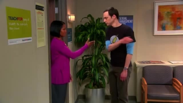 The Big Bang Theory 6x20 - Sheldon Cooper funny scene - Coub