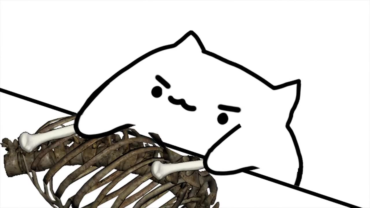 Bongo cat - Spooky Scary Skeletons - Coub