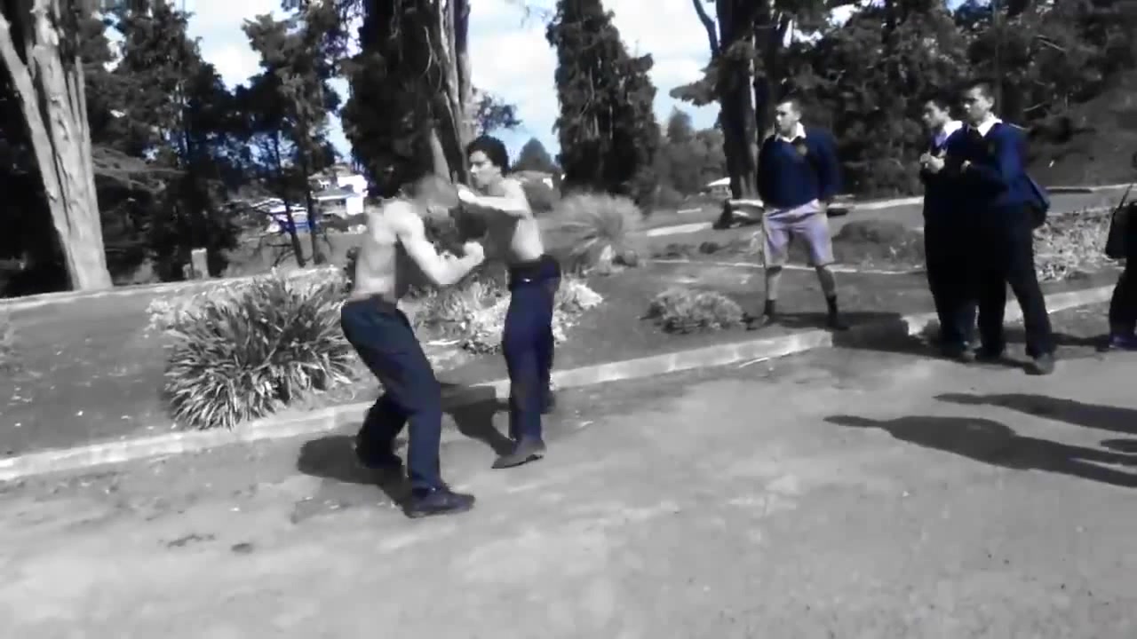 ULTRAPIR Jock - Coub