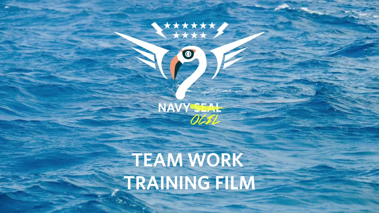 TRAINING FILM 1 - TEAM WORK - Coub