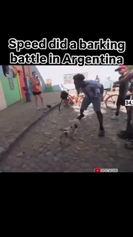 speed did a barking battle in Argentina - Coub