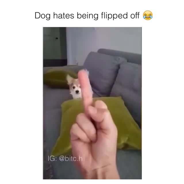 Dont do that ok - Coub