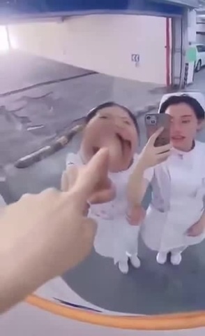 Pop cat mirror - Coub