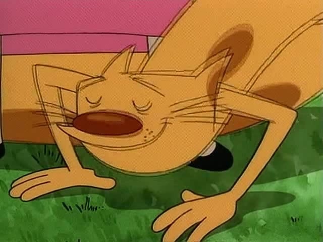 Небольшая "мурлыкотерапия" с Котом / A little "purr therapy" with Cat ...